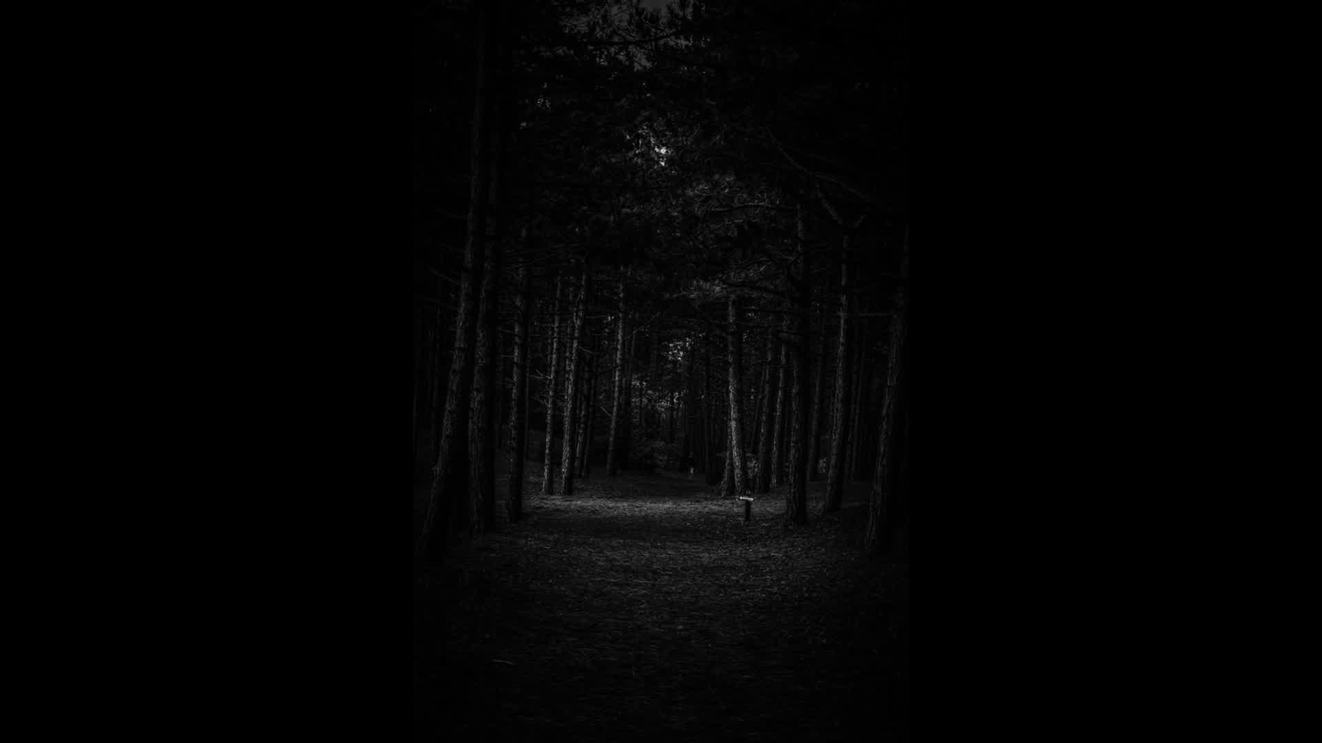 Slender: The Eight Pages [ mrunknownyt ] – Fortnite Creative Map Code